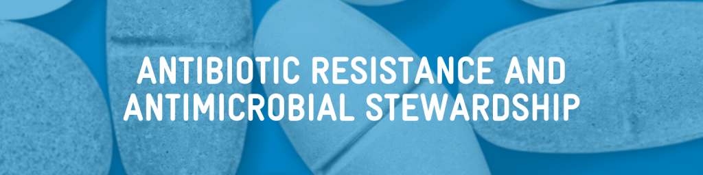 Guide to Infection Control in the Healthcare Setting - ISID