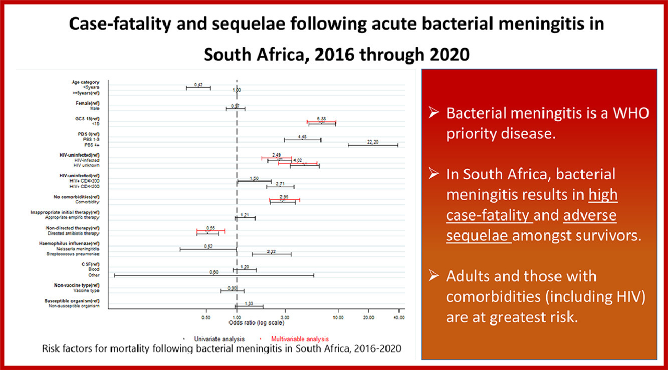 Light the road towards defeating meningitis and achieving the WHO’s ...