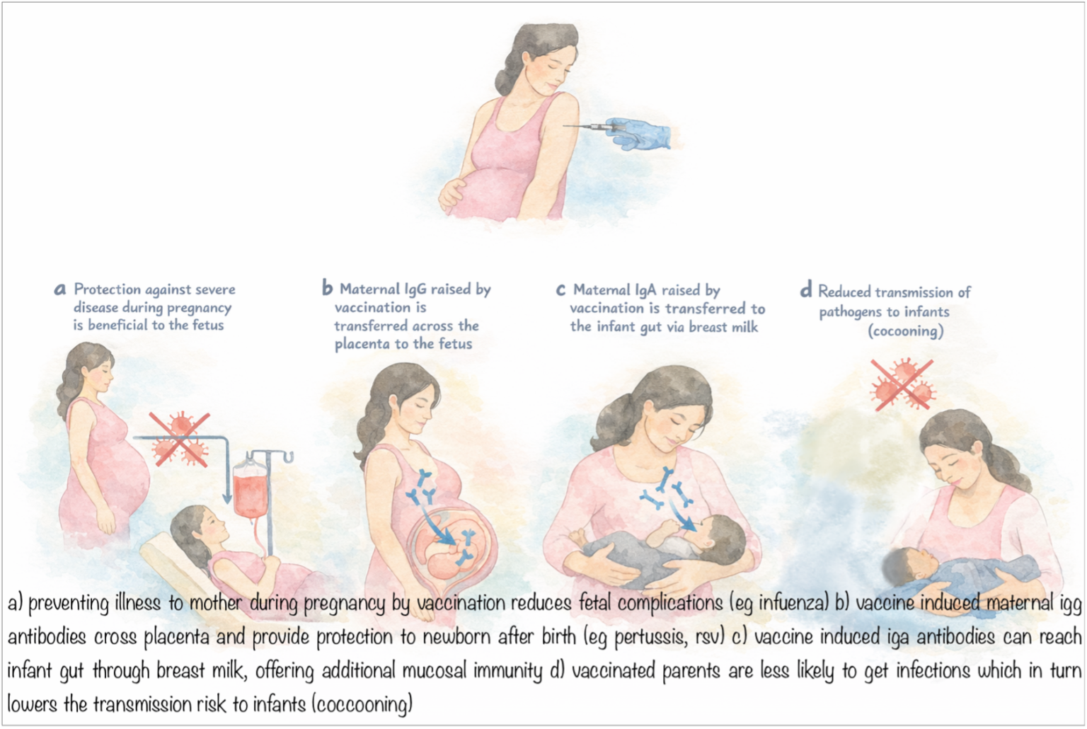 Protecting Two Lives with One Shot: The Growing Role of Maternal ...